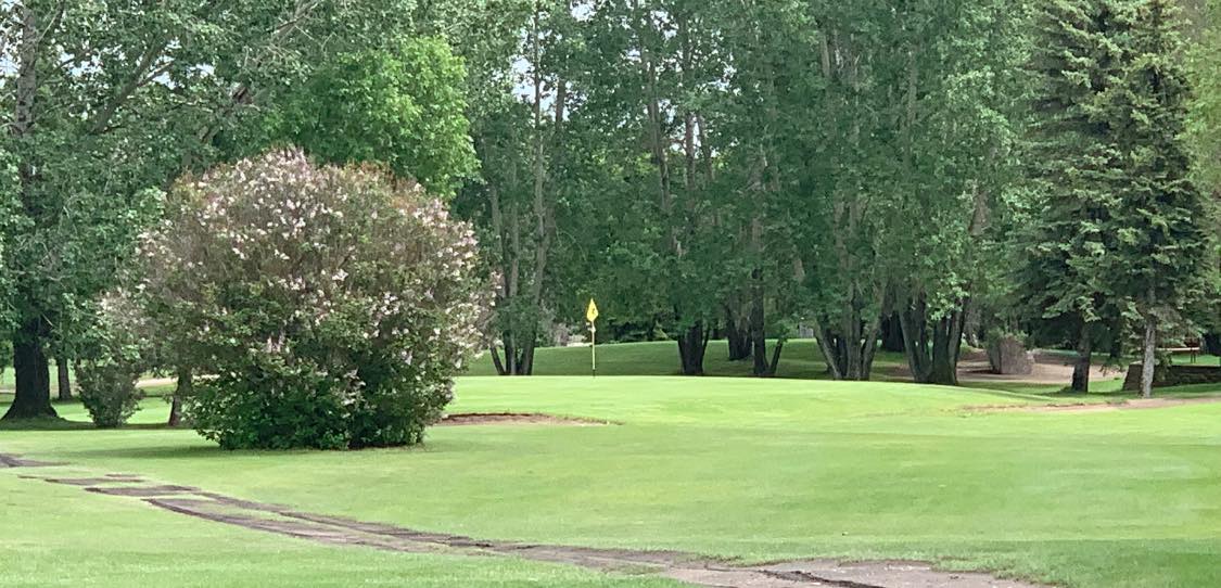 Wynyard Golf Club, Co-operative Place the envy of the region - Golf ...