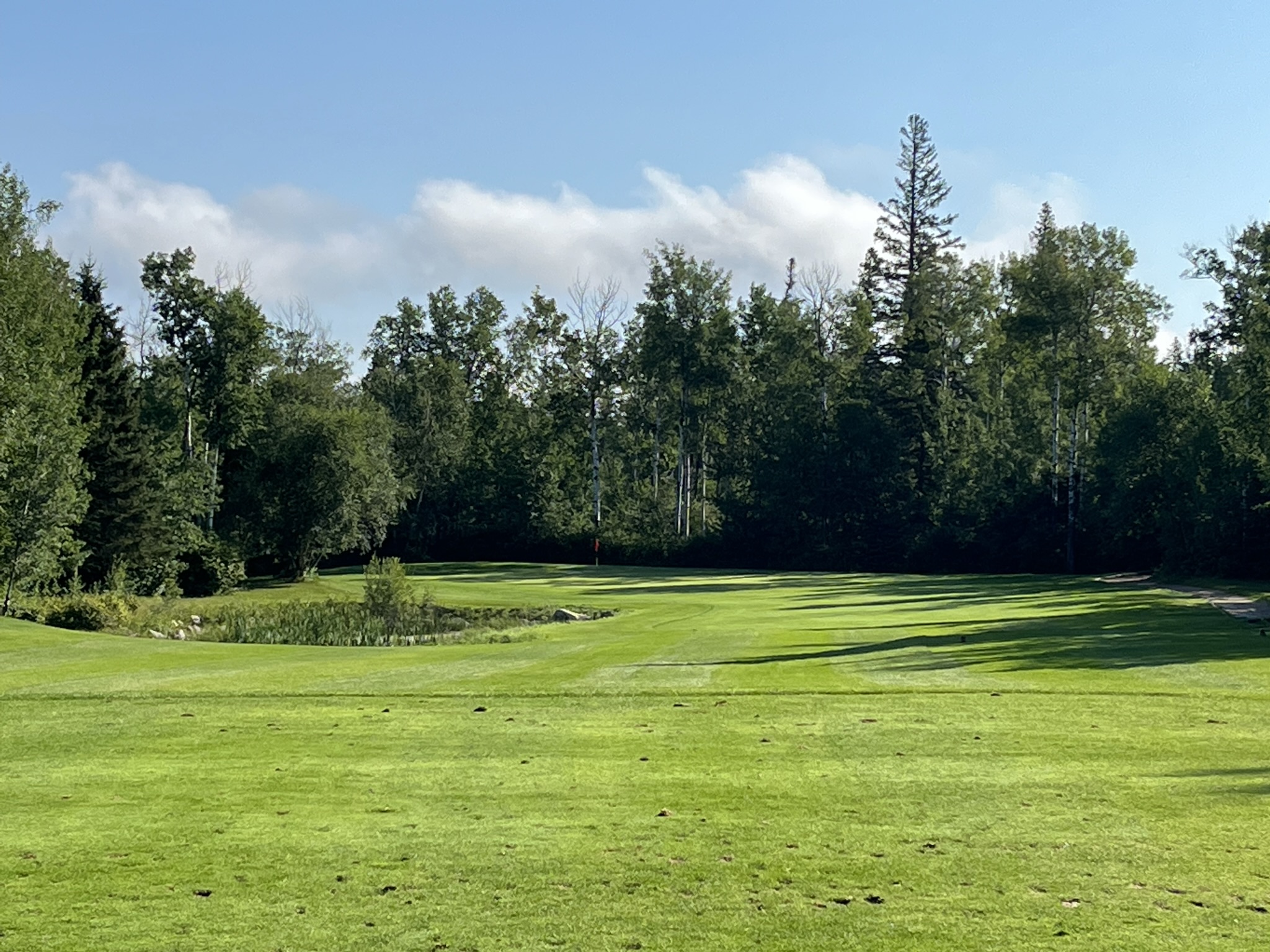 Ever evolving, Ethier always evaluating Emma Lake Golf Course - Golf ...