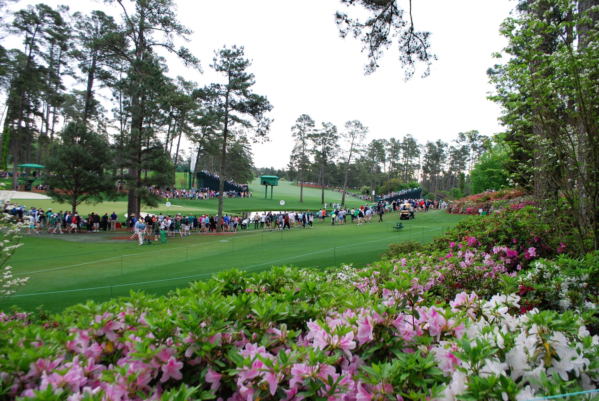 Fort Qu’Appelle golf fan wins Rotary Club of Saskatoon Masters Pool ...